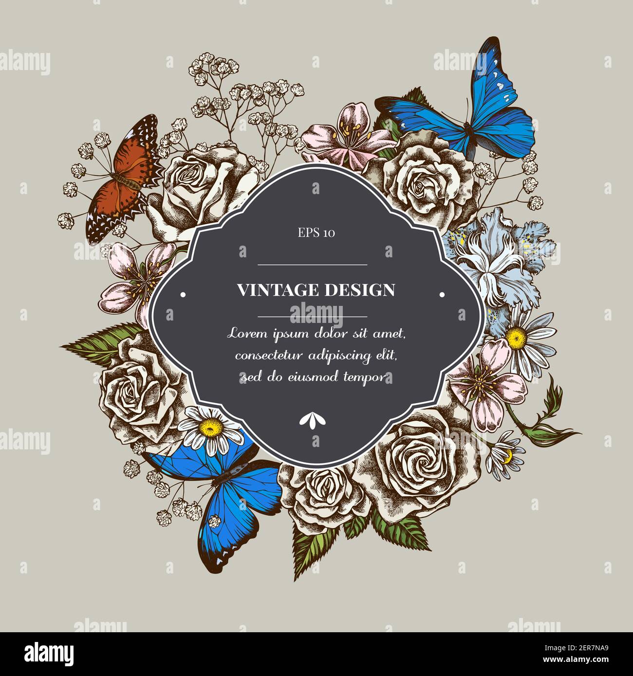 Dried iris Stock Vector Images - Alamy