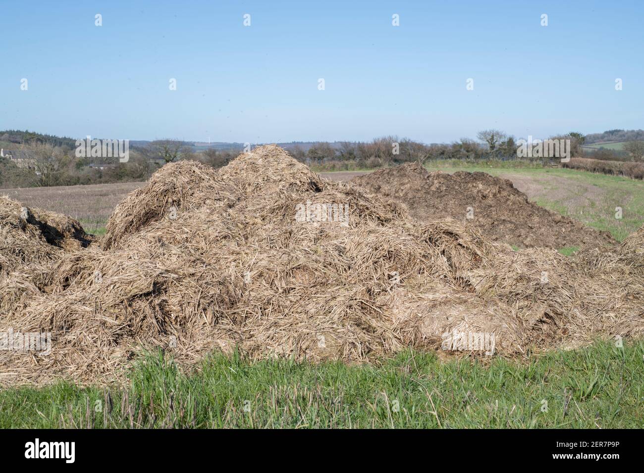 Farmyard manure hi-res stock photography and images - Alamy