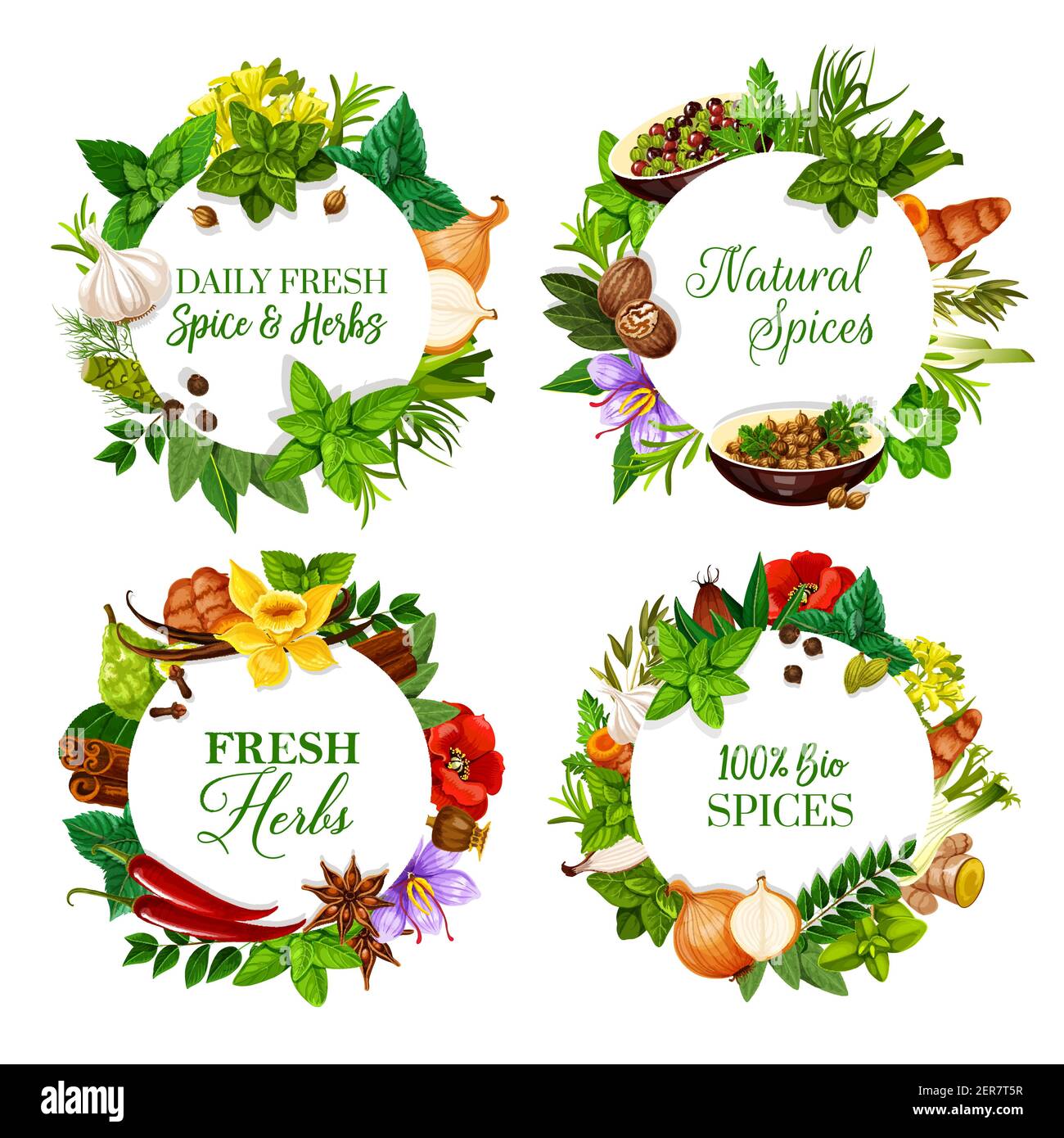 Natural spices and aromatic kitchen herbs round banners. Peppermint ...