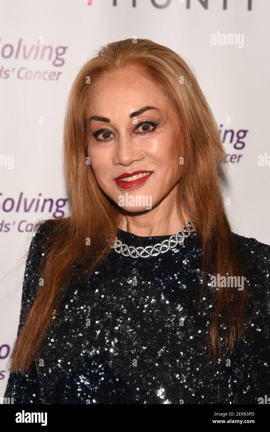 Lucia Hwong-Gordon attends Solving Kids Cancer Spring Celebration on ...