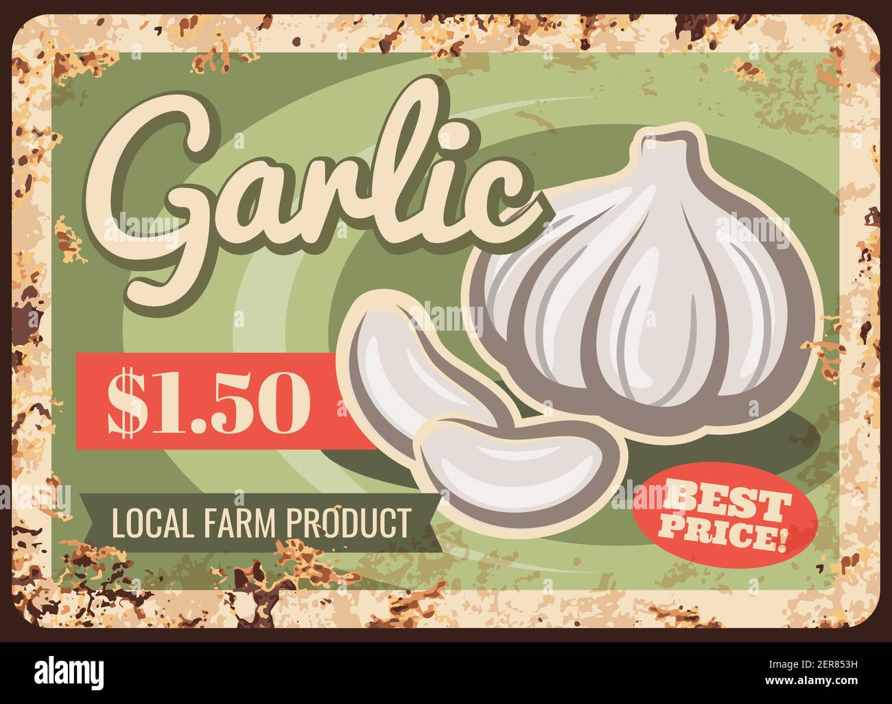 Organic farm garlic harvest rusty metal plate. Local farm product ...