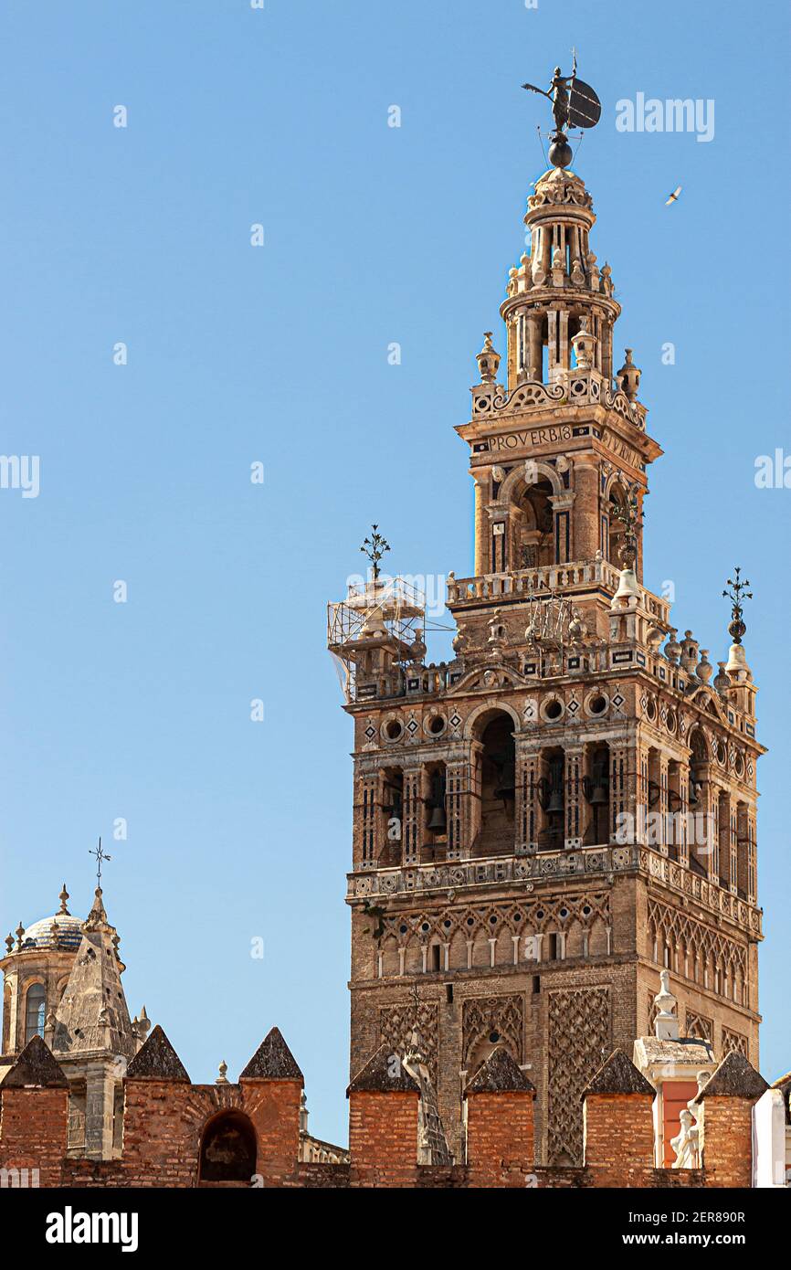 Giralda tower (La Giralda) a tall bell tower as part of the Seville ...