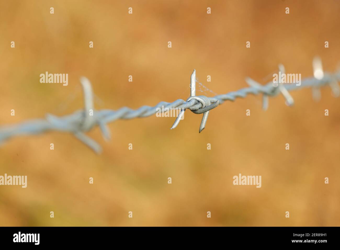 Abstract close up of Barbed wire fencing Stock Photo - Alamy