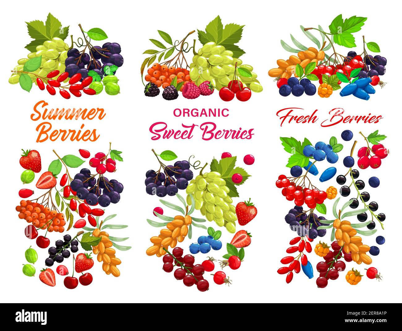 Cartoon berries vector strawberry, raspberry, cherry, black or red ...