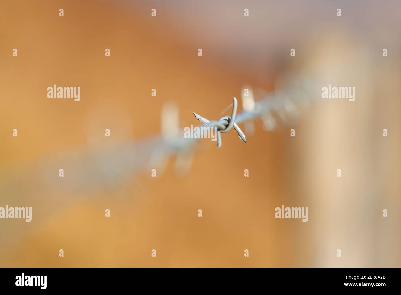 Abstract close up of Barbed wire fencing Stock Photo - Alamy