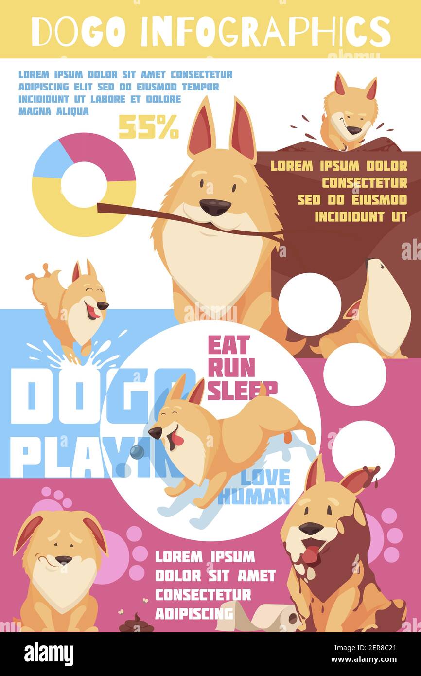 Puppy behavior including playing and pranks, love to human, colorful ...