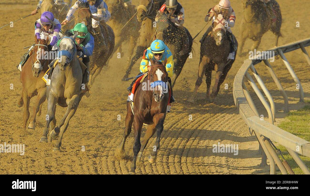 Kentucky Derby winner I'll Have Another (left) trails Creative Cause ...