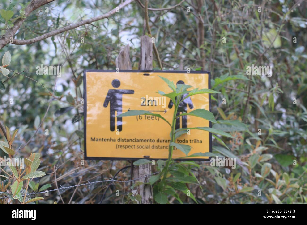 Chapada Diamantina, Brazil. 23rd Feb, 2021. Caeté Açu (Vale do Capão ...