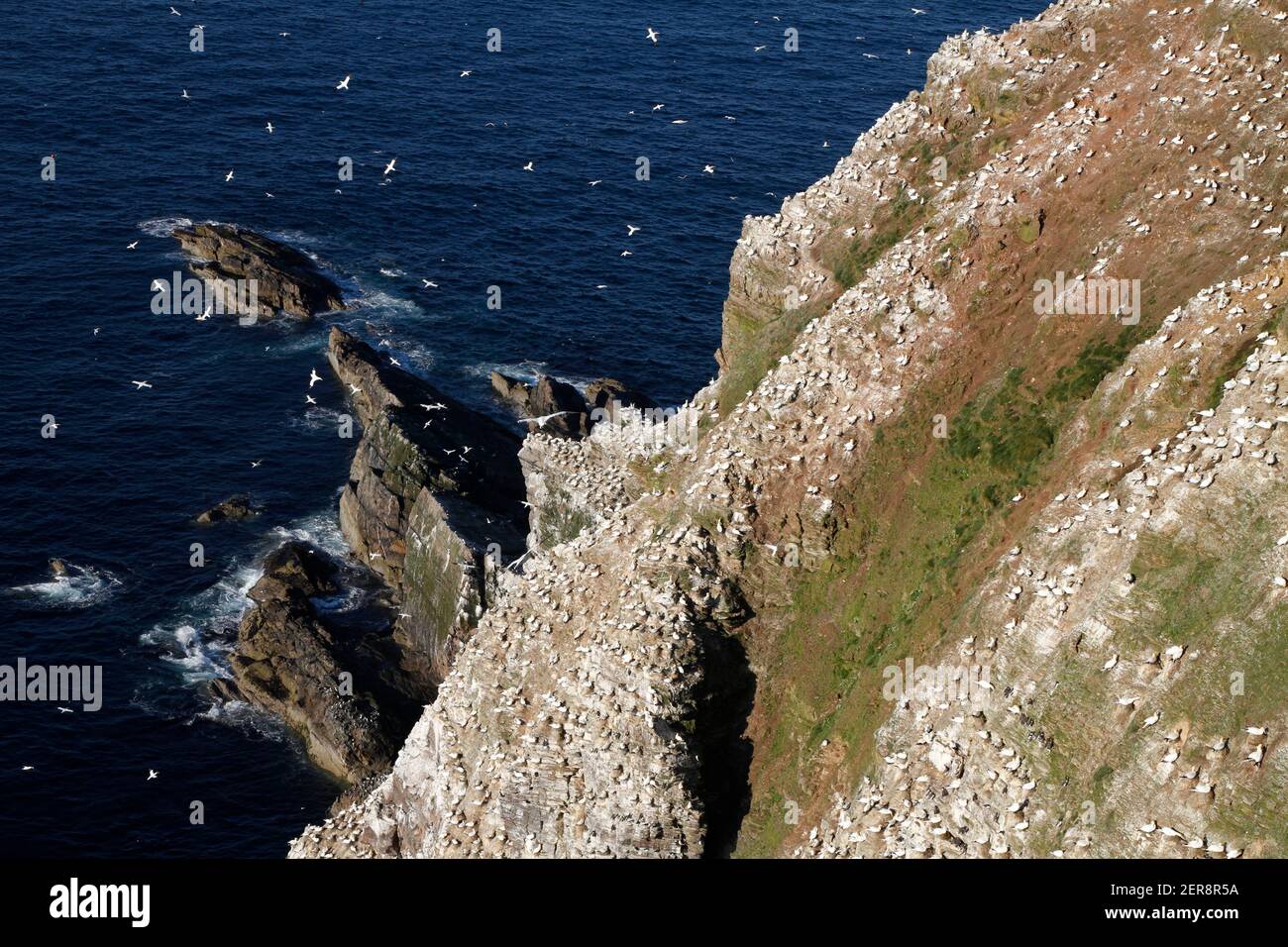 Troup head scotland hi-res stock photography and images - Alamy