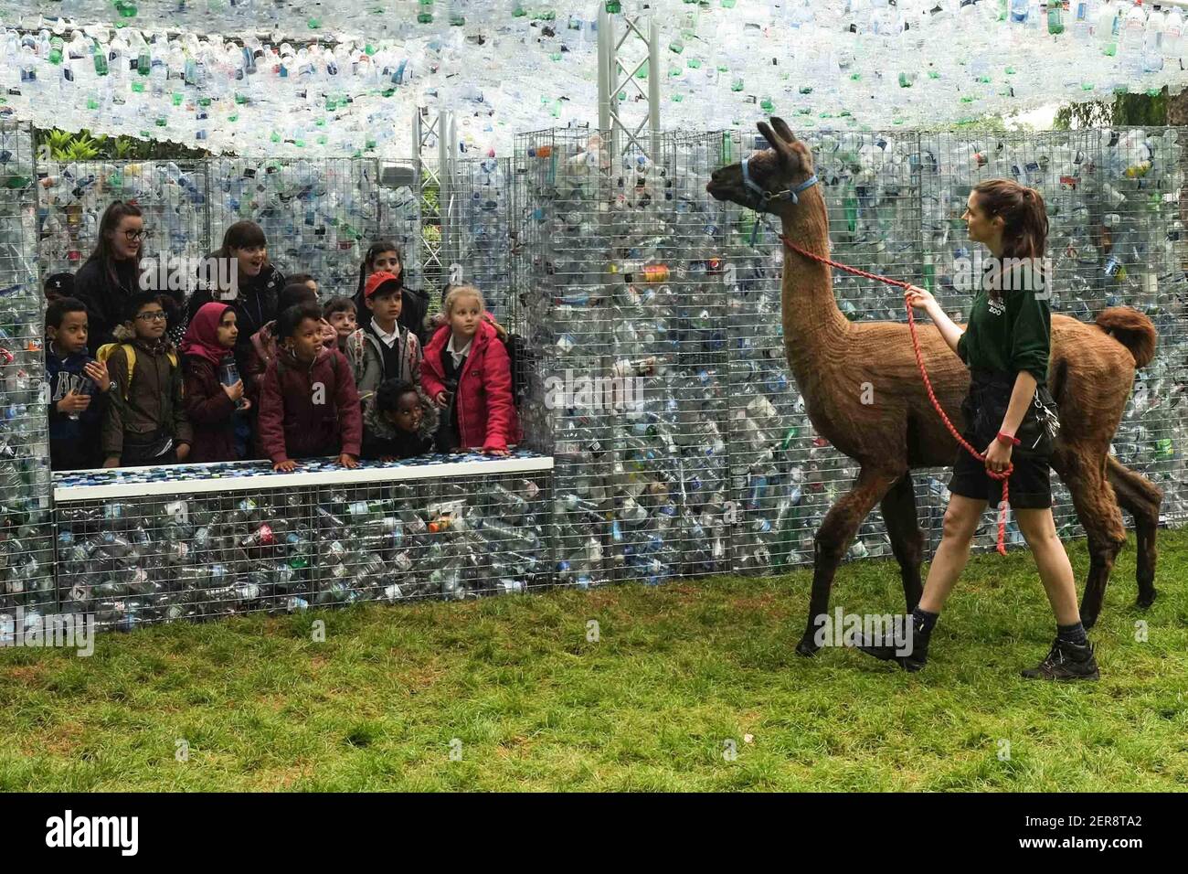Children from Camden’s Netley Primary School and Centre for Autism and ...