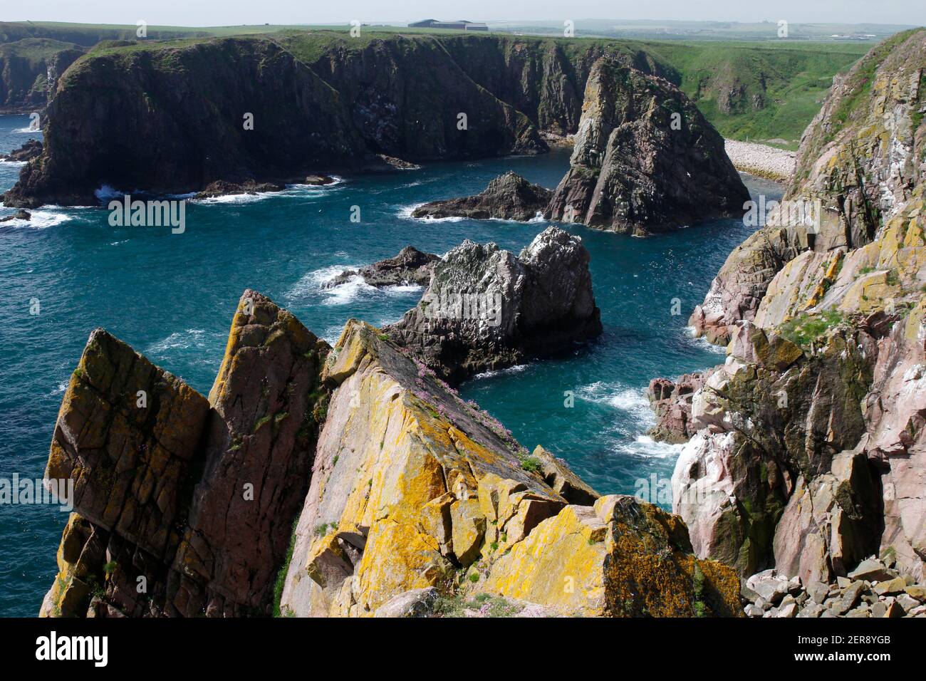 Longhaven hi-res stock photography and images - Alamy