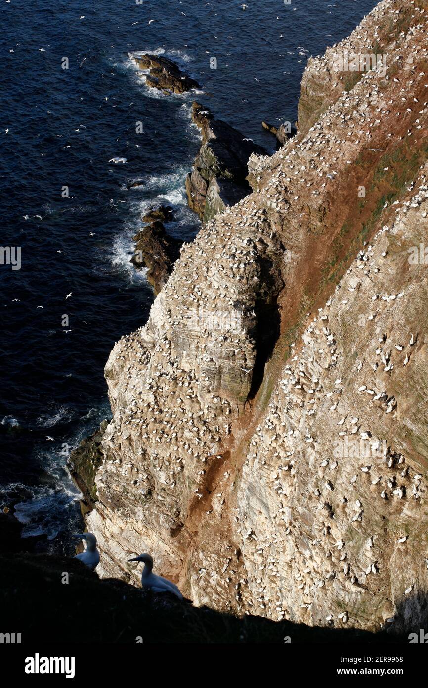 Troup head scotland hi-res stock photography and images - Alamy