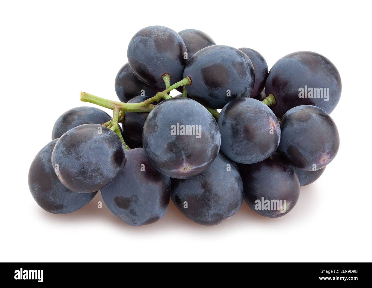 Single Fruits Pictures Grapes