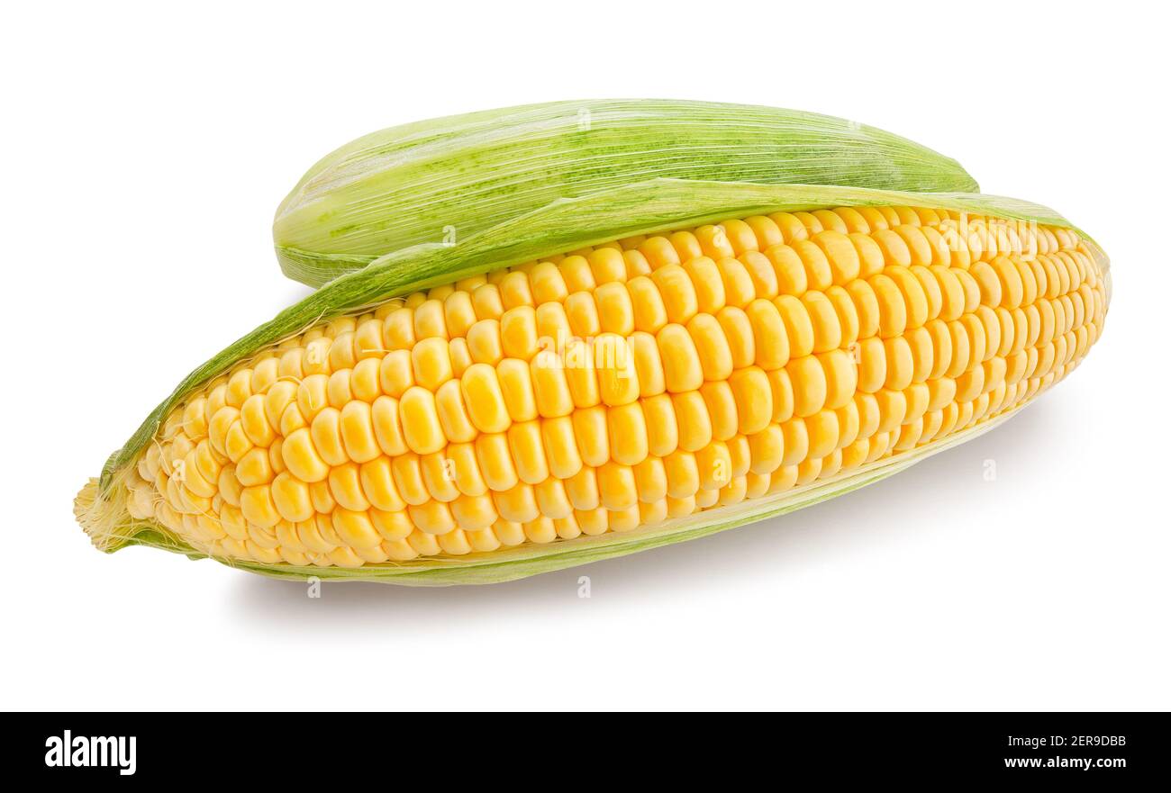 corn path isolated on white Stock Photo - Alamy