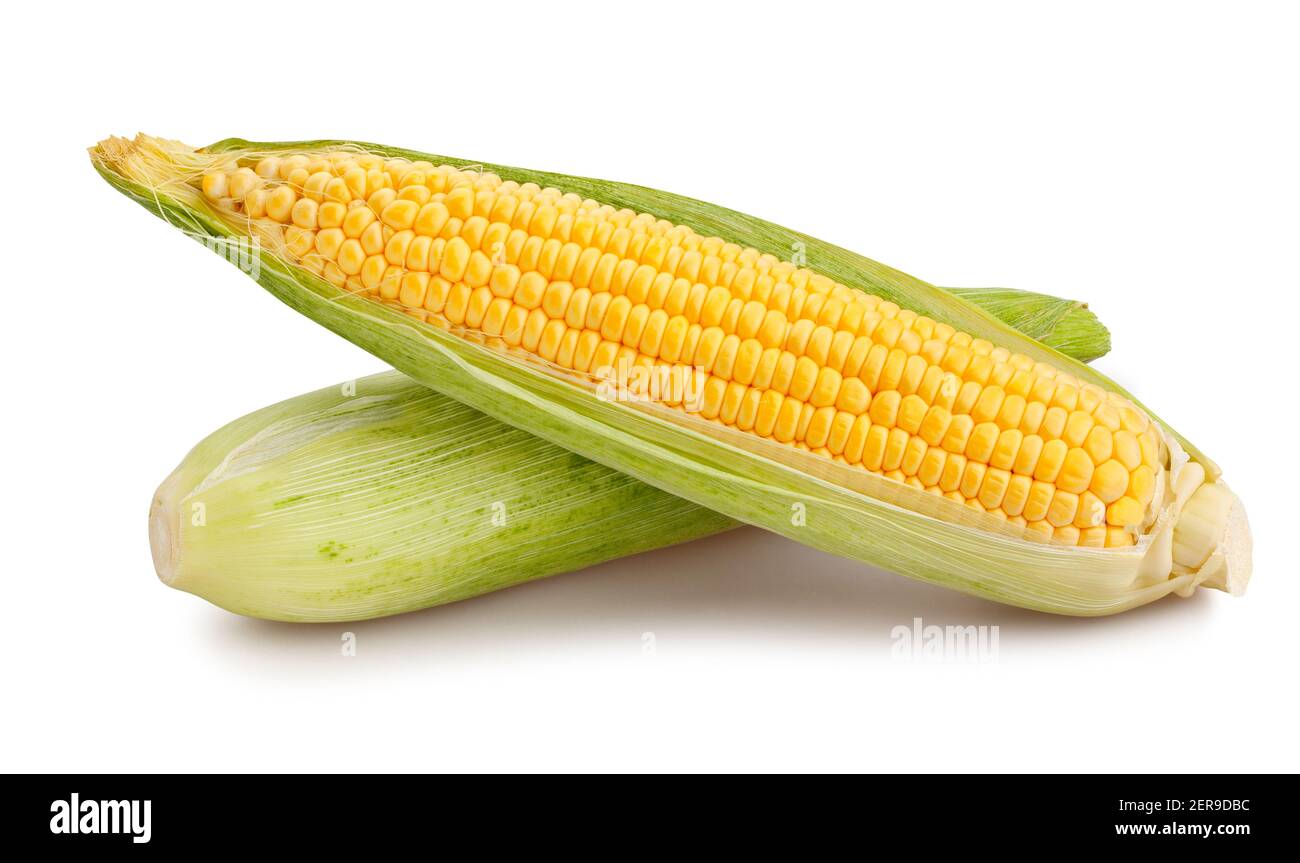 corn path isolated on white Stock Photo - Alamy
