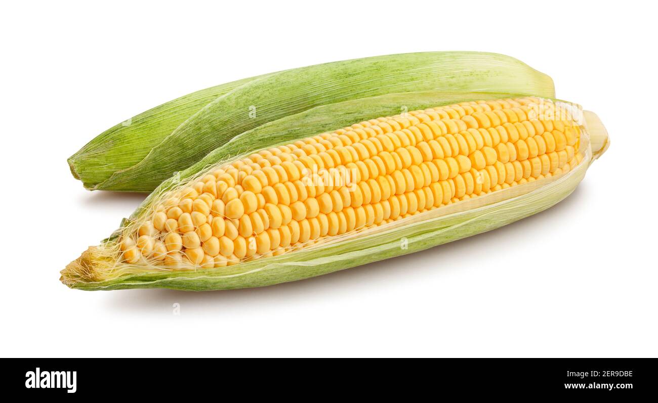 corn path isolated on white Stock Photo - Alamy