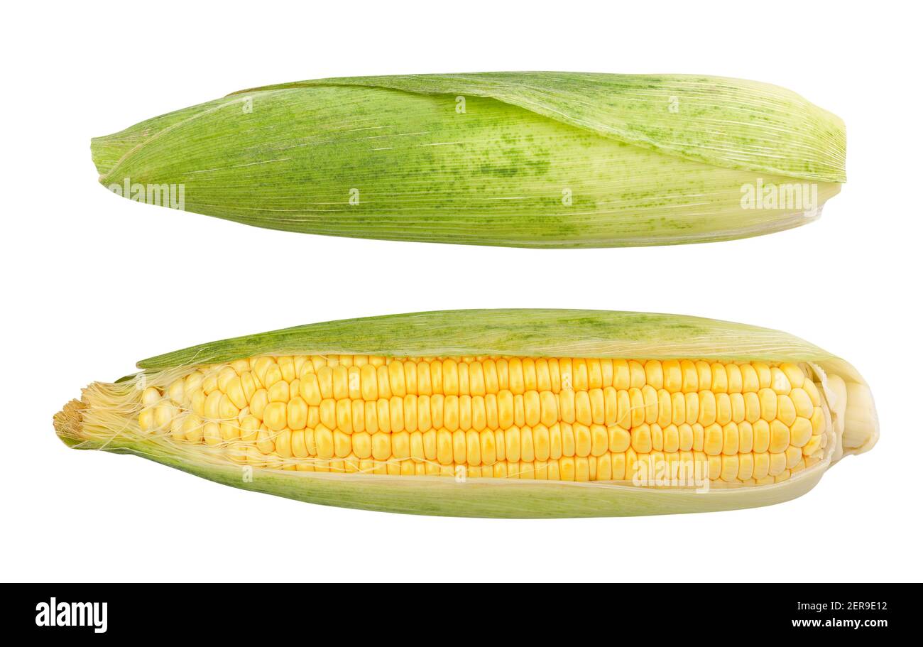 corn path isolated on white Stock Photo - Alamy