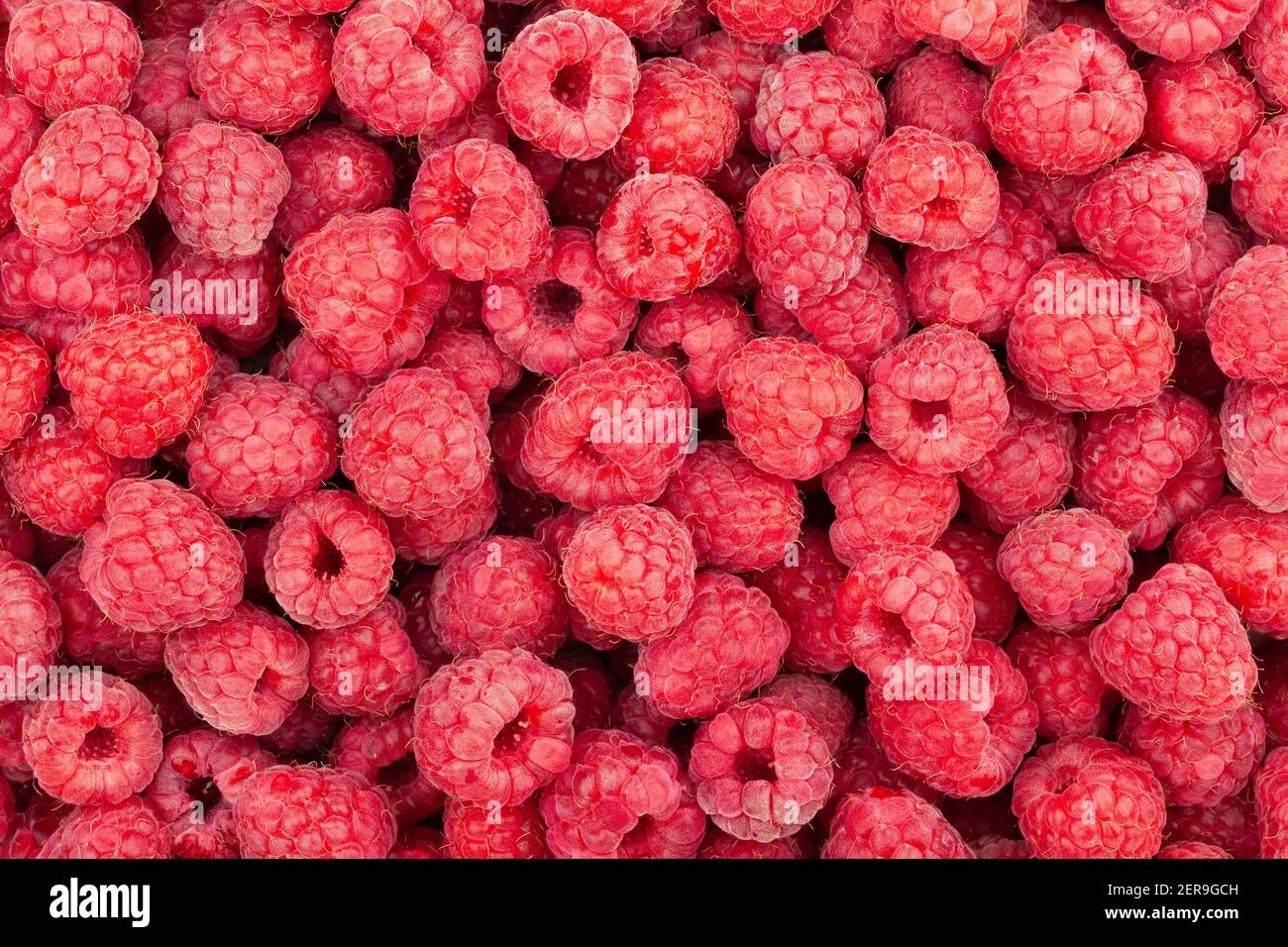 raspberry texture tile pattern closeup Stock Photo - Alamy