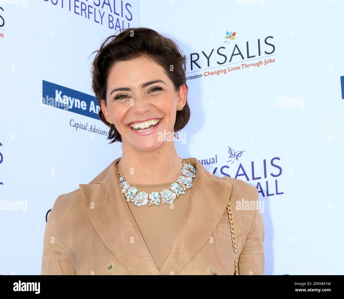 LOS ANGELES - JUN 2: Vikki Krinsky at the 17th Annual Chrysalis ...