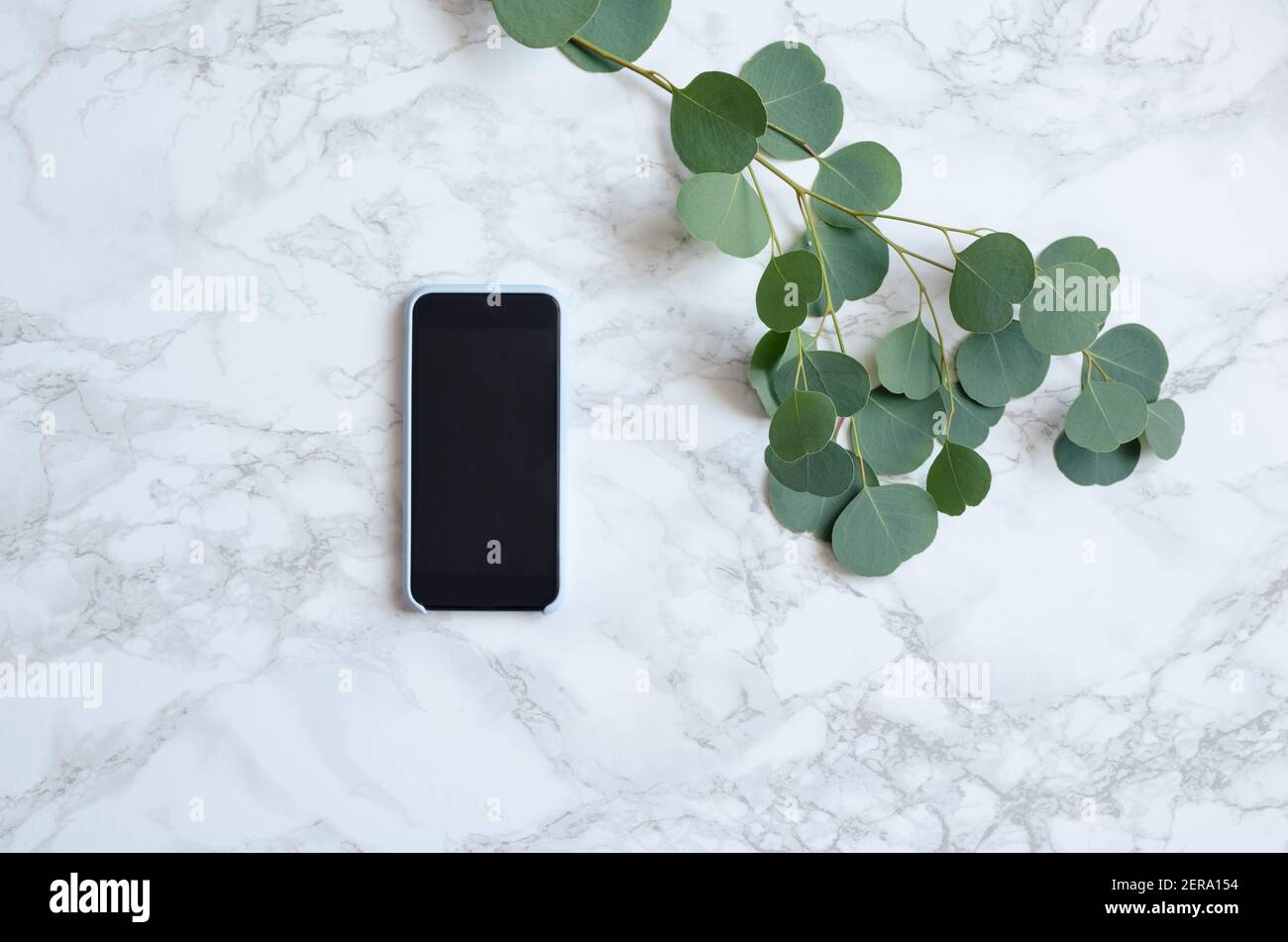 Mock up with mobile phone and eucalyptus branches on marble background ...