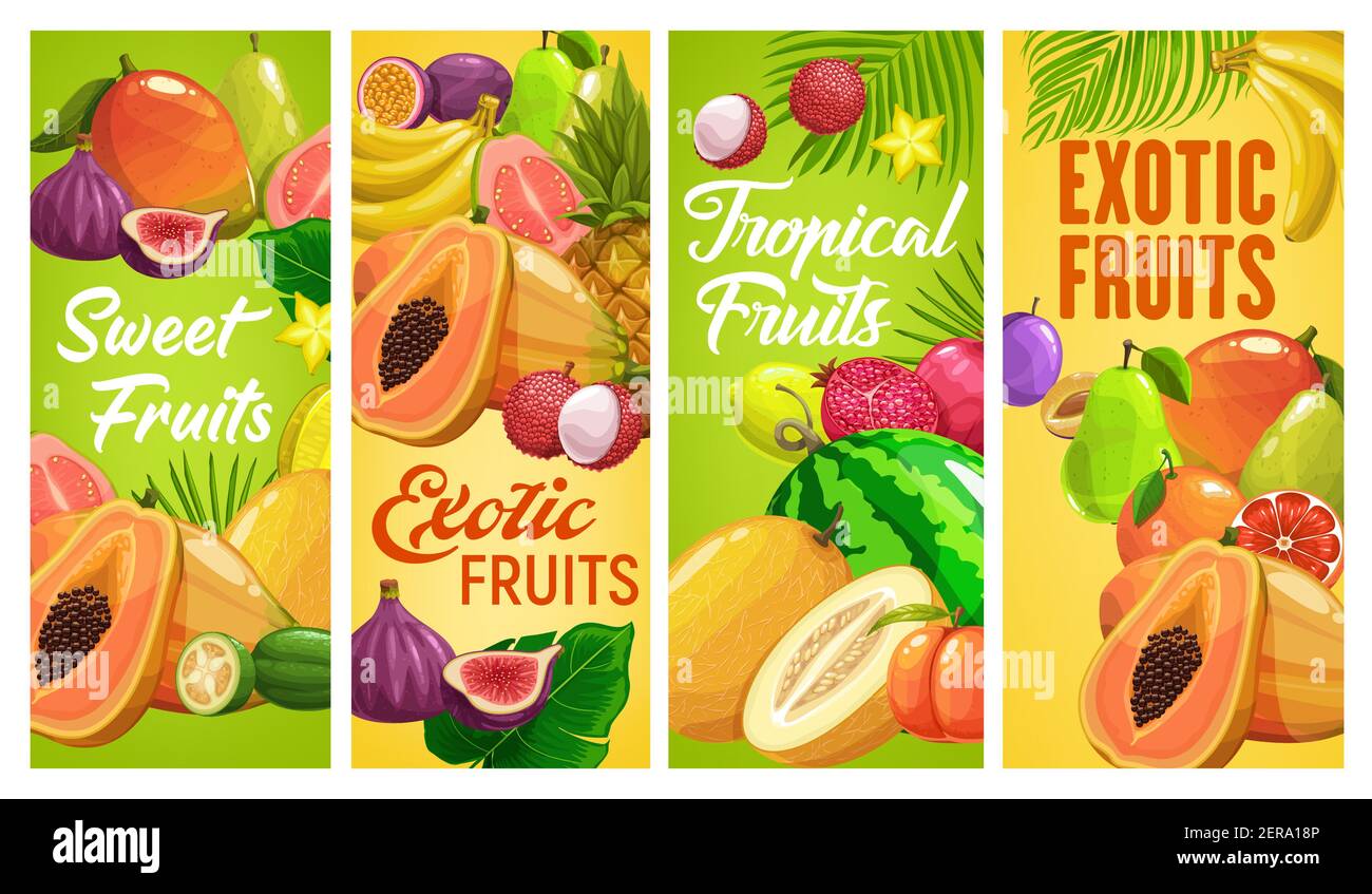 Fresh tropical fruits vector pineapple, banana or pomegranate, pear ...