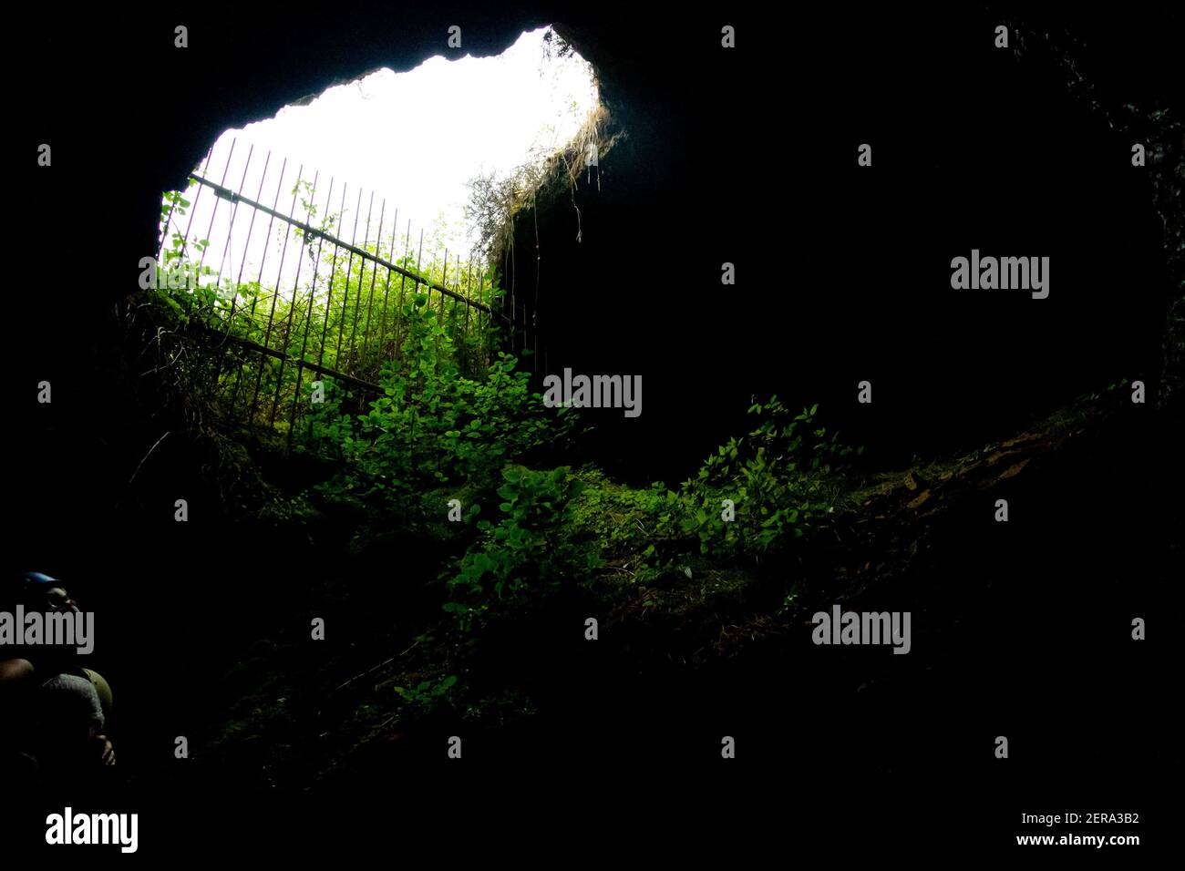 Wide shot of the exit of a cave covered in heavy vegetation and the ...