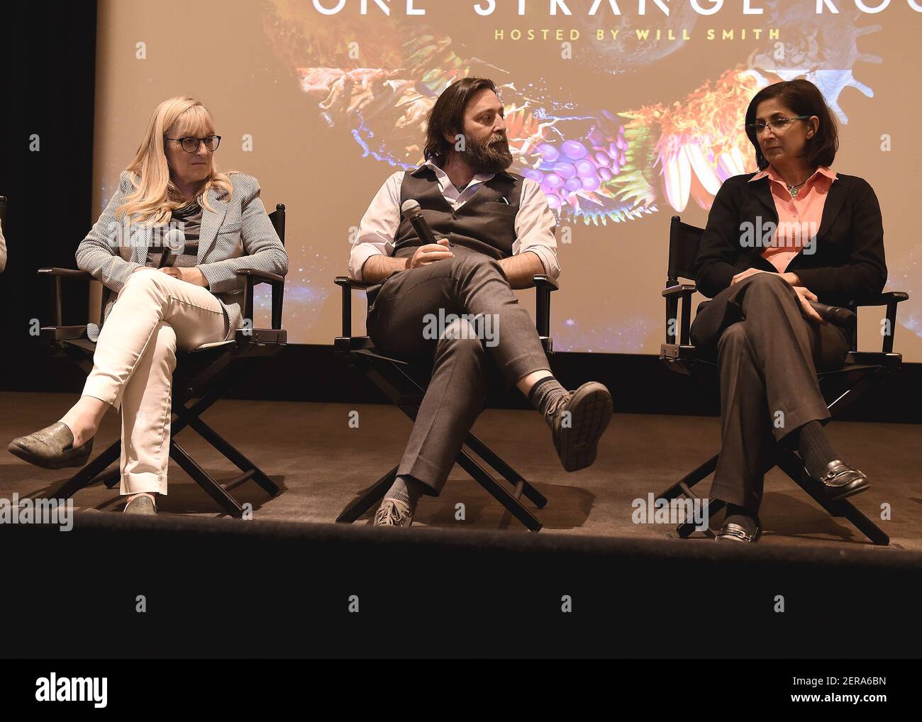 WEST HOLLYWOOD, CA - JUNE 6: Jane Root, Ari Handel and Nicole Stott at ...