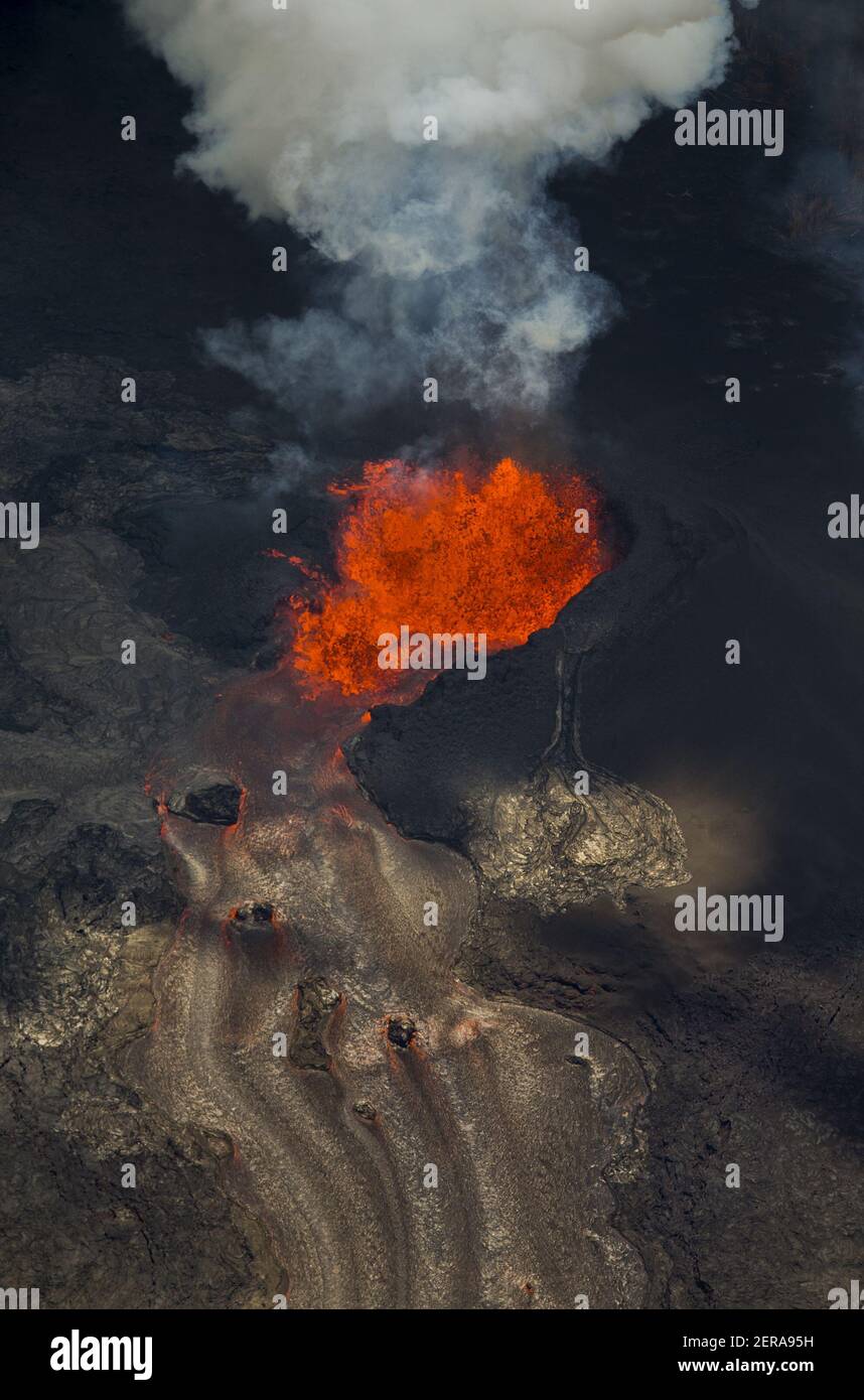 Fissure 8 continues to blast fresh lava several hundred feet in the air ...
