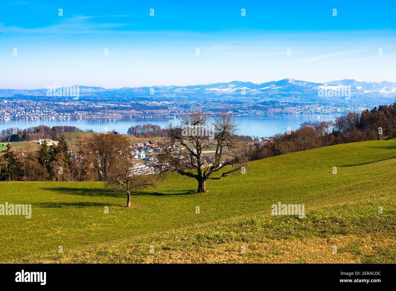 Unique panoramic skyline aerial view of Zurichsee, lake of Zurich with ...