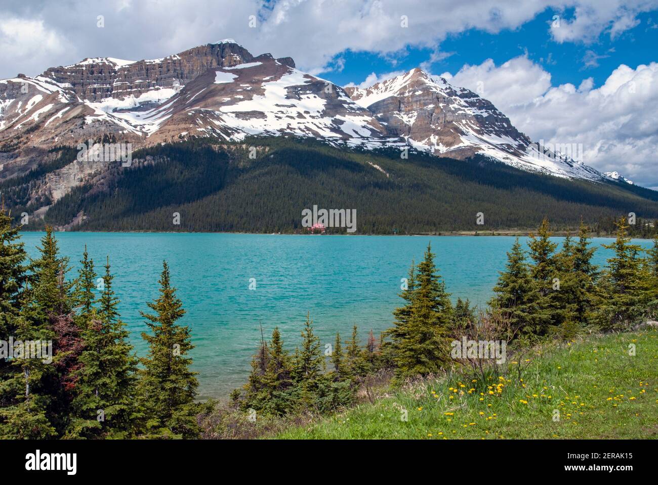 partly snow-covered „Mt. Jimmy Simpson“ towers over „Bow Lake“ with the ...
