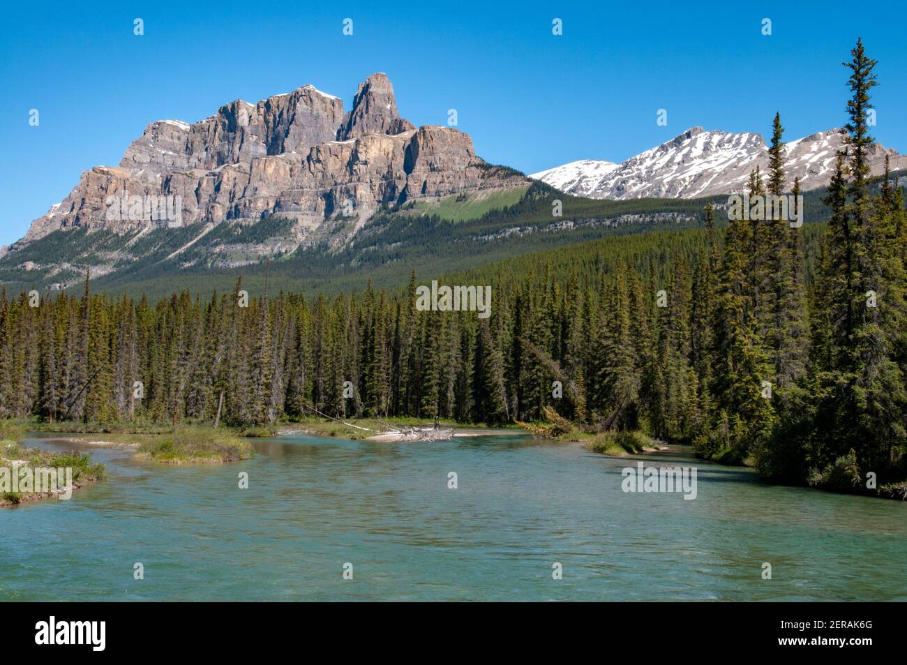 „Bow River“ winding through dense coniferous forest with craggy „Castle Mountain“ in the ...