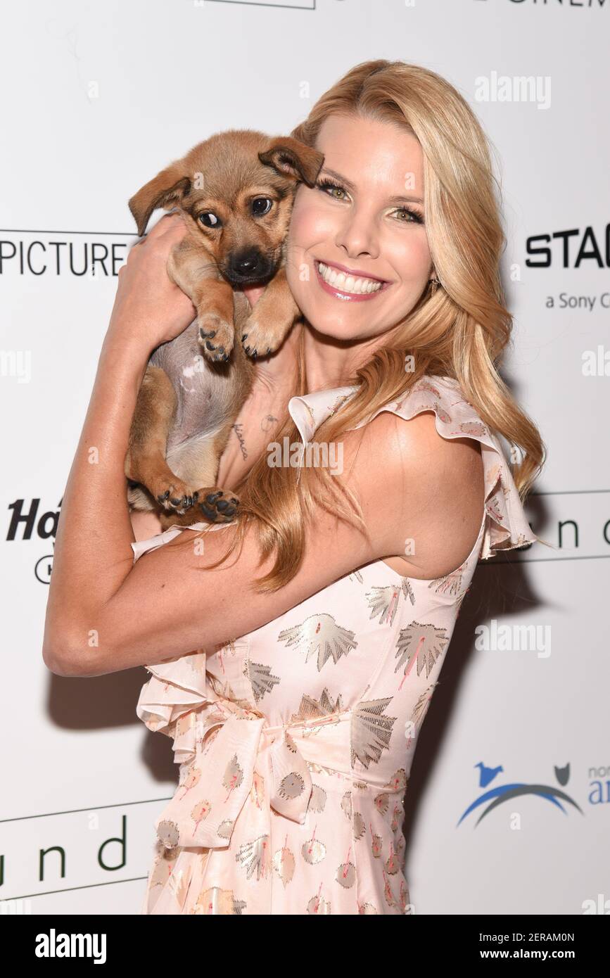 Beth Ostrosky Stern attends The Cinema Society with Hard Rock Hotel ...