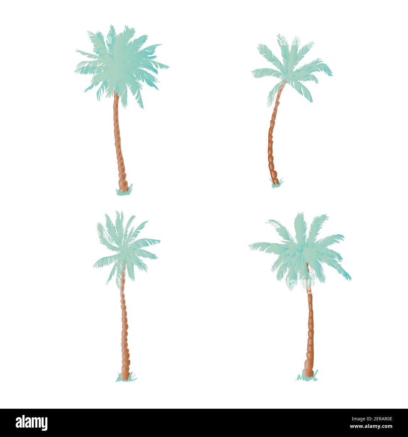 Coconut palms. Illustration on white background for design Stock Vector ...