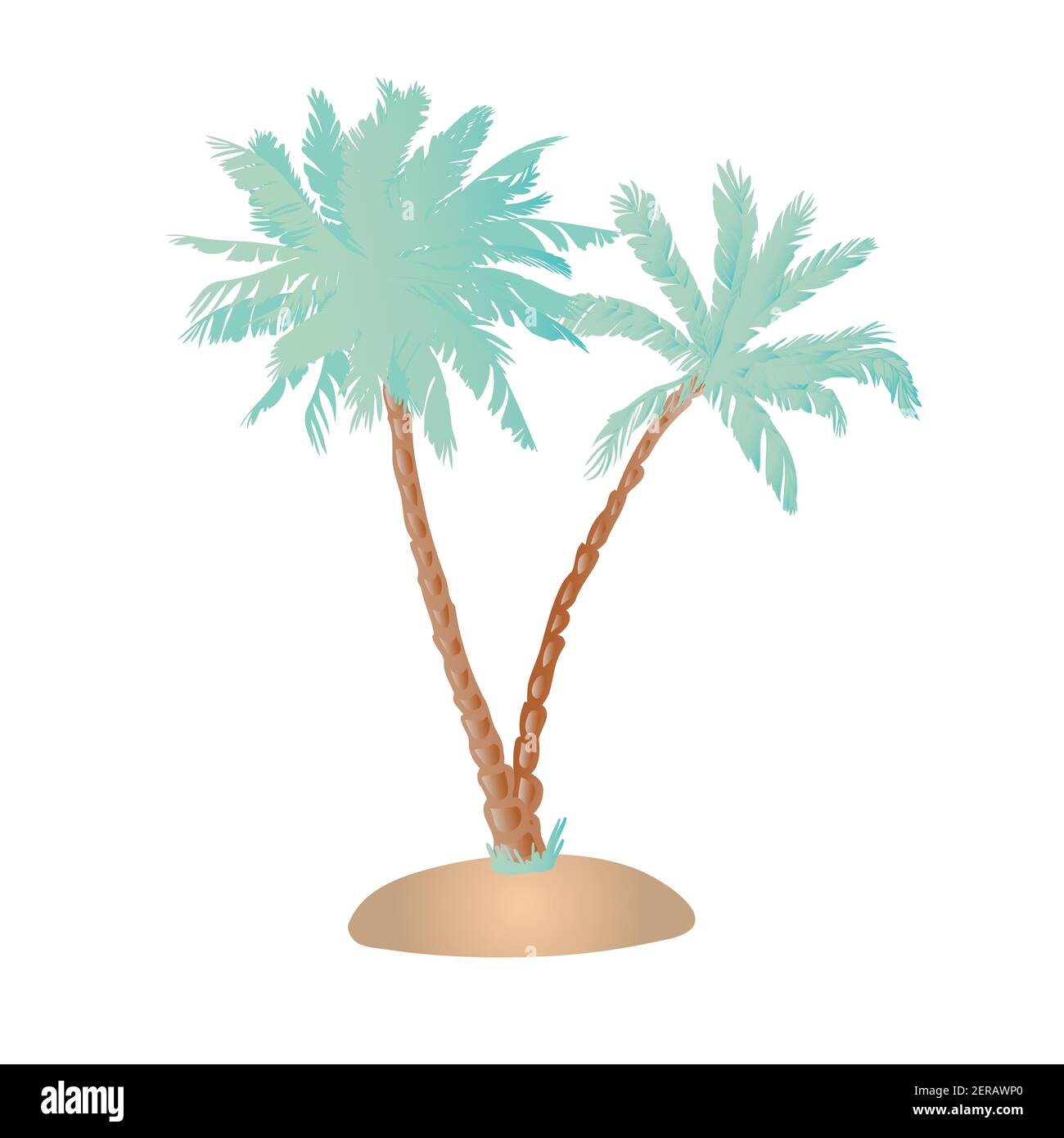 Coconut palms. Illustration on white background for design Stock Vector ...