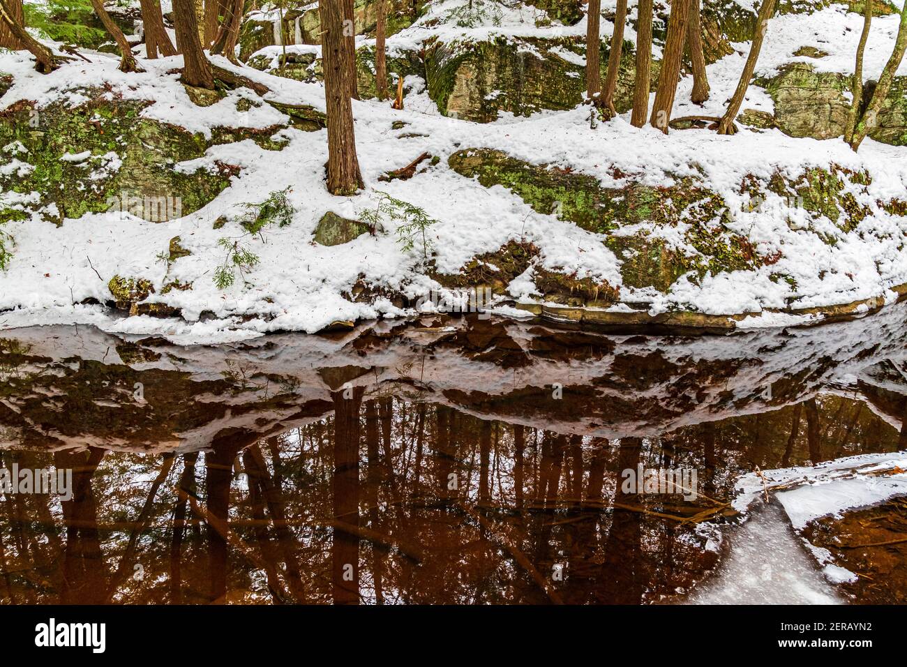 Muskoka Falls and Bracebrige Conservation Area Algonquin Highlands ...
