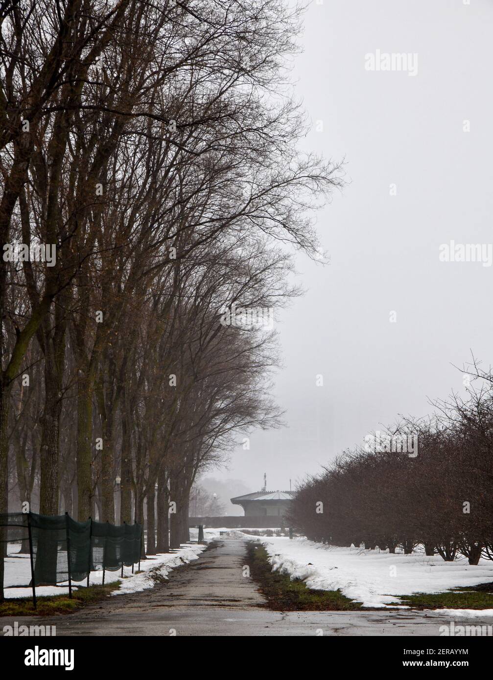 Empty park path in the city in winter fog Stock Photo - Alamy