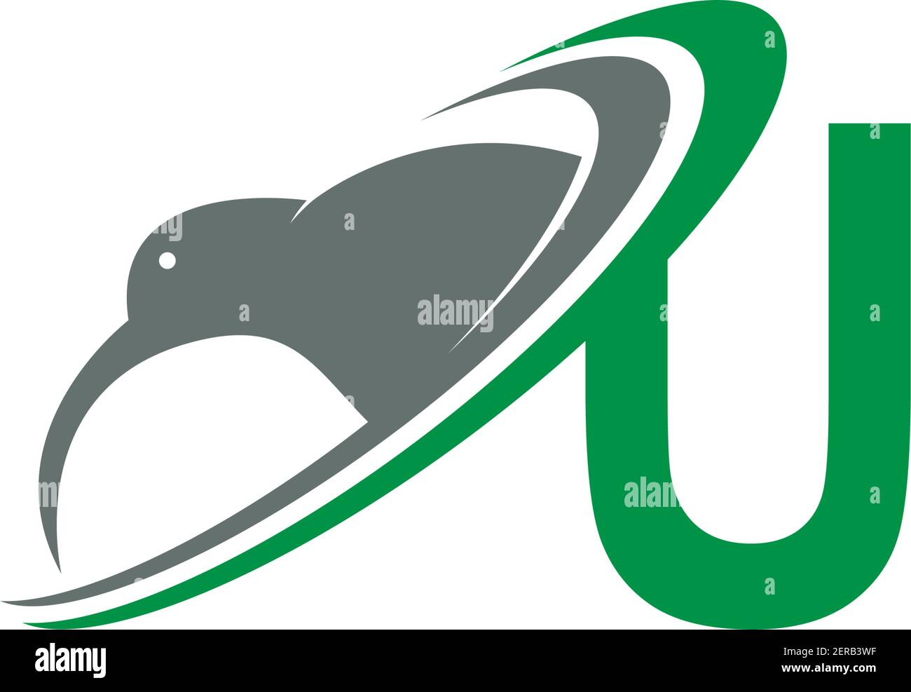 Letter U with kiwi bird logo icon design vector illustration Stock ...