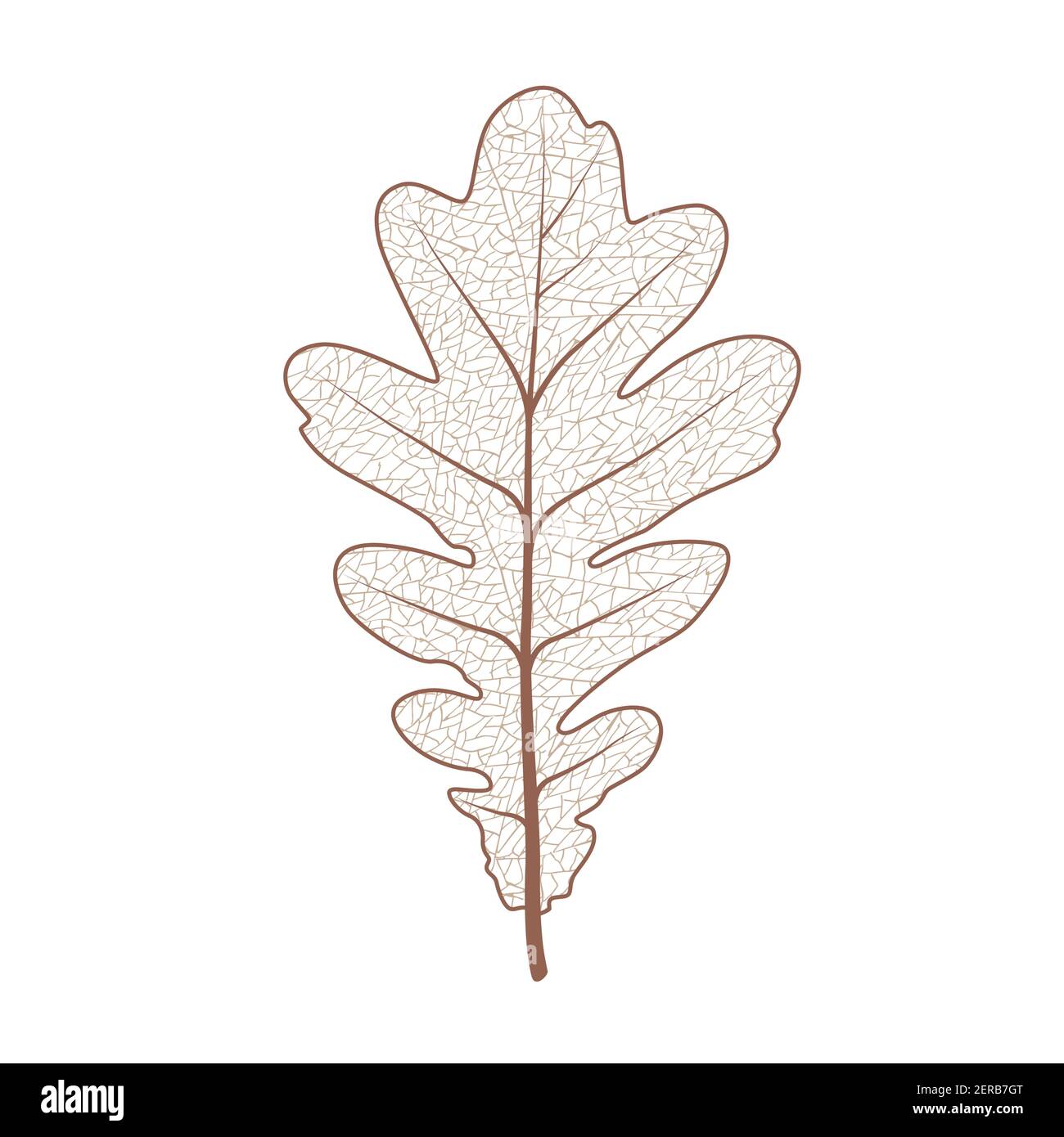 Oak Tree Leaves Clip Art