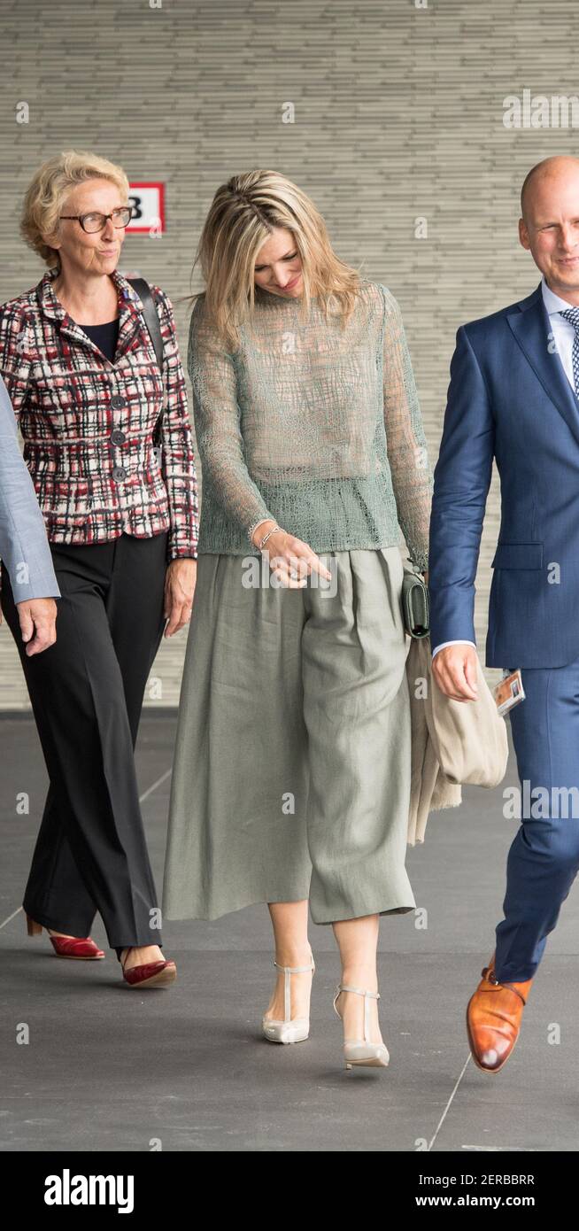 Queen Maxima of the Netherlands starts working again after the dead of ...