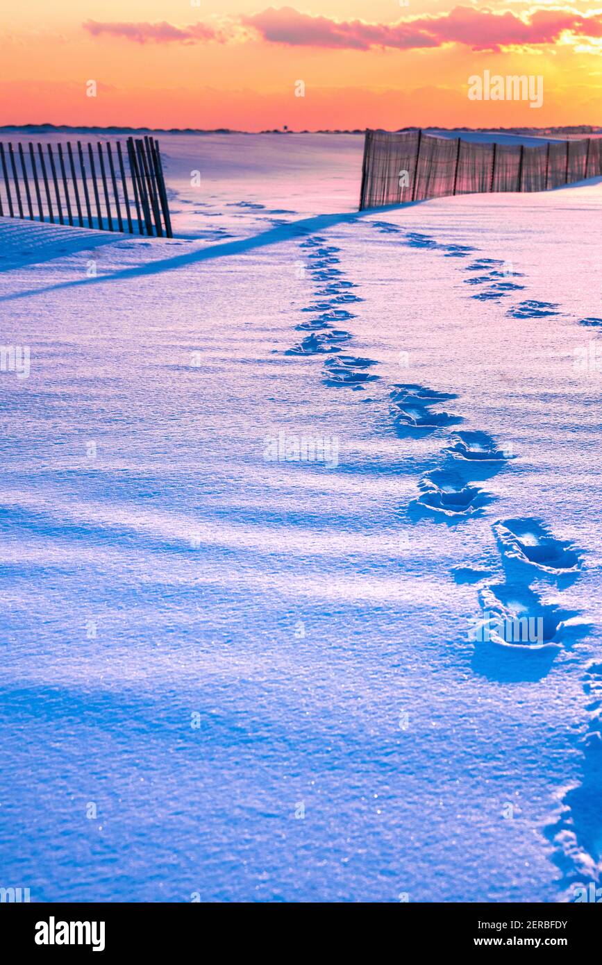 Winter scene under color sky at sunset on snow covered beach. Jones ...