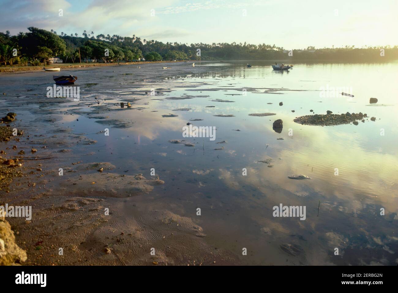 Shallow reef in Tonga in early morning light Stock Photo - Alamy
