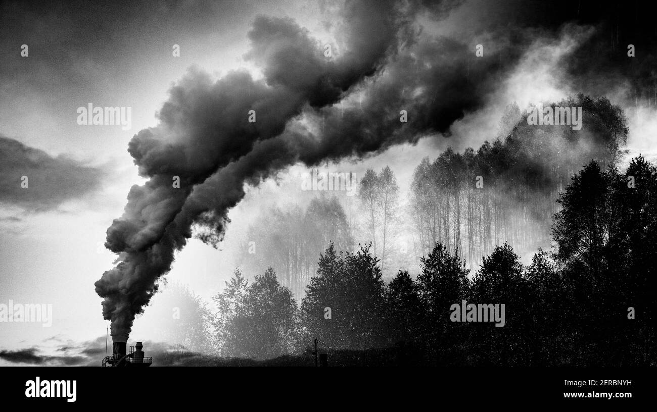 factory smoke covering green forest double exposure global warming ...
