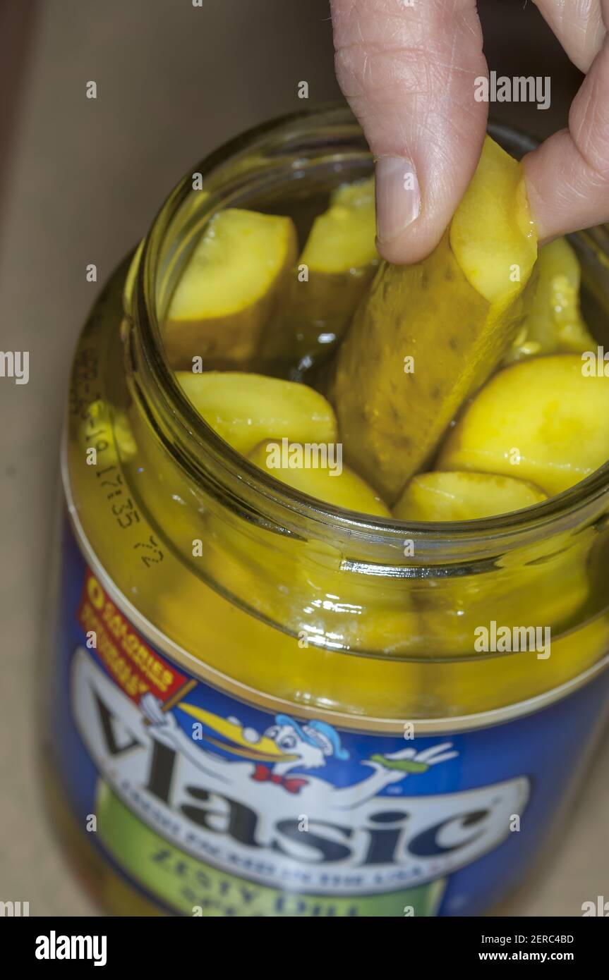 A pickle lover grabs a spear of Pinnacle Foods brand Vlasic pickles in ...
