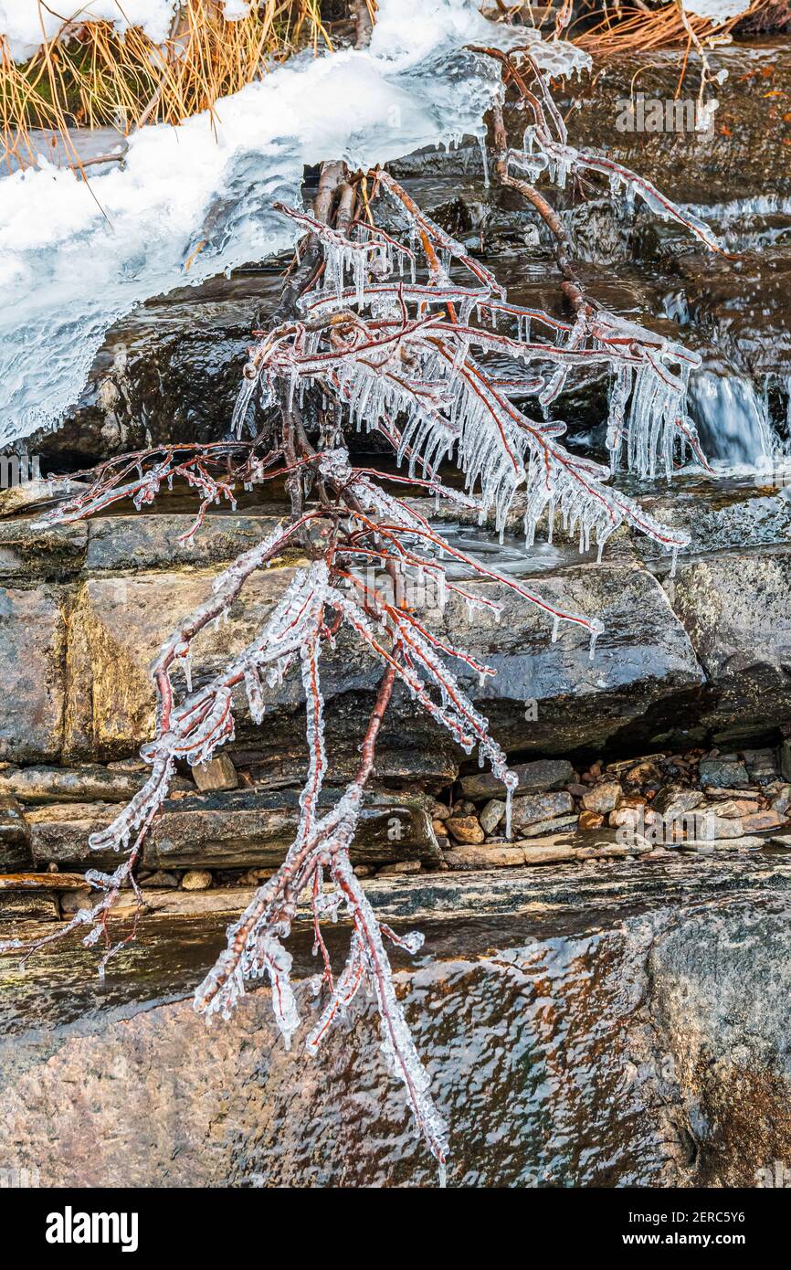 Muskoka Falls and Bracebrige Conservation Area Algonquin Highlands ...