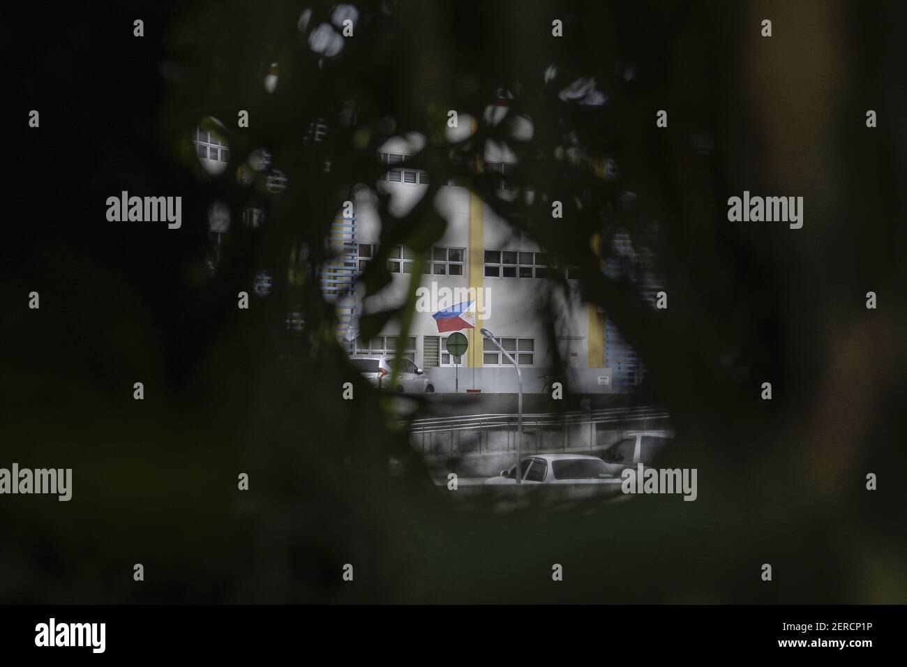 A view of the parted bush presumably where a suspected gunman ...