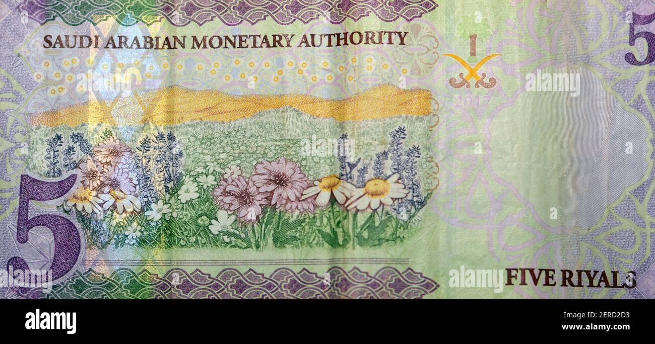 Saudi five riyals banknote, Saudi Arabian 5 riyals money background ...