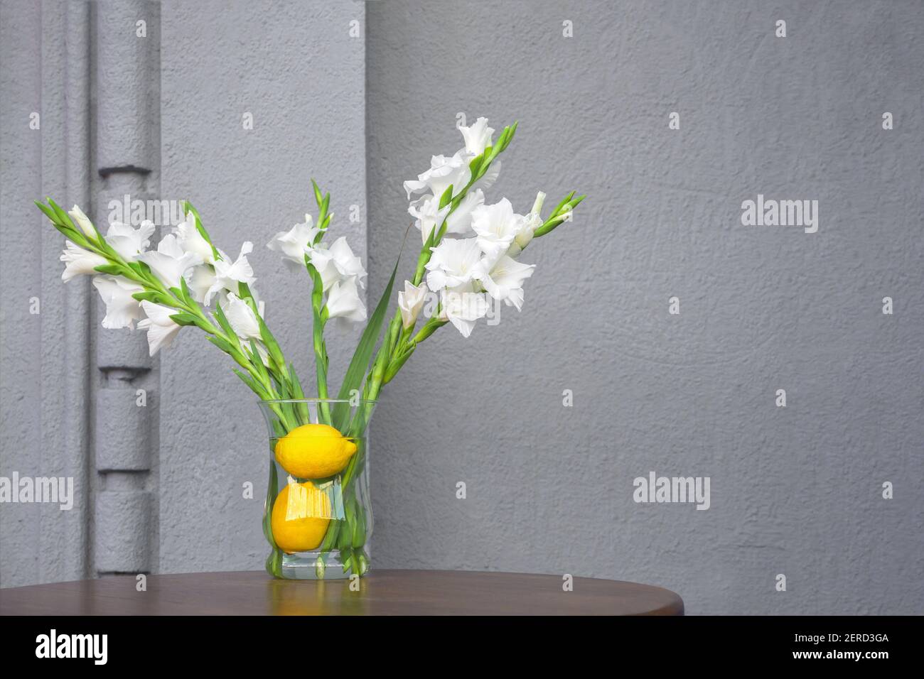 Concept summer flowers setting decoration fresh interior with concrete ...