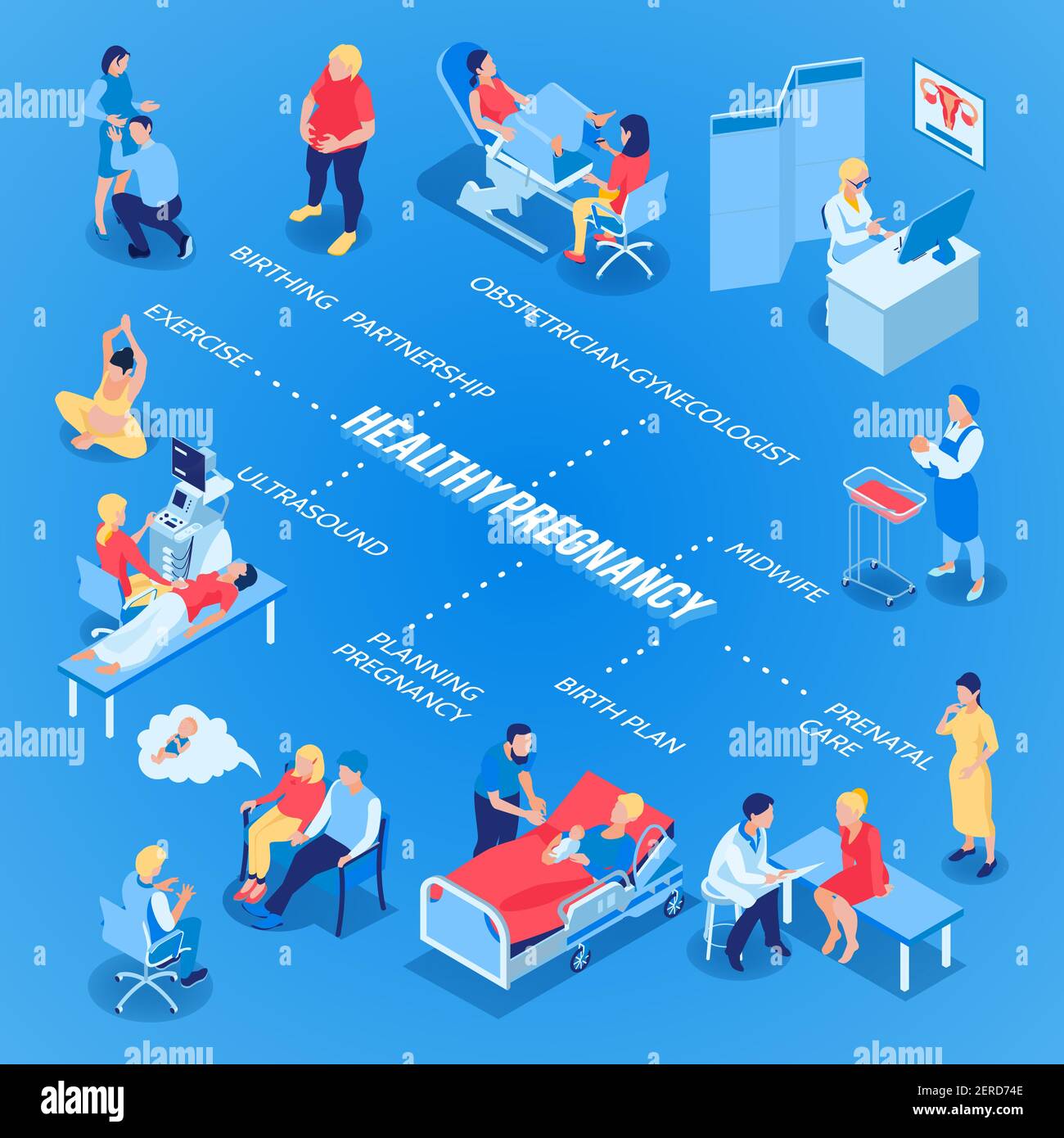 Embryo implantation Stock Vector Images - Alamy