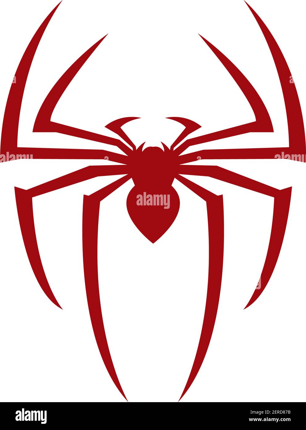 Spider logo template vector icon illustration design Stock Vector Image ...