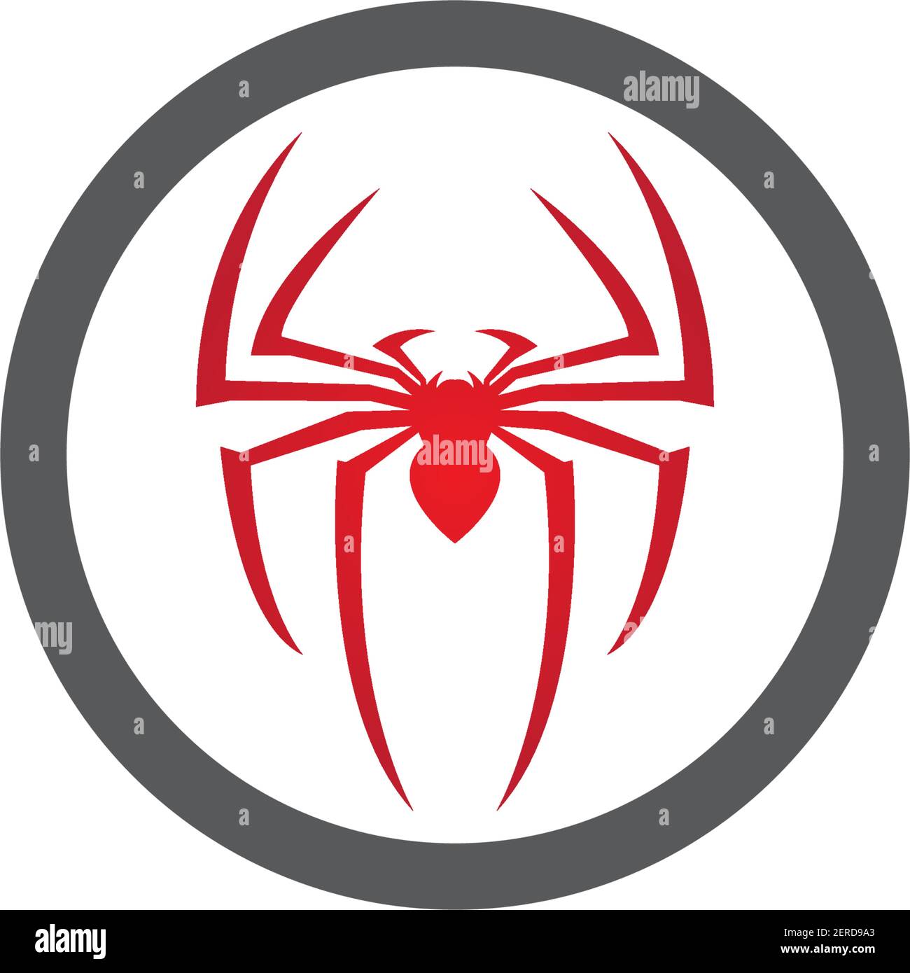 Spider logo template vector icon illustration design Stock Vector Image ...
